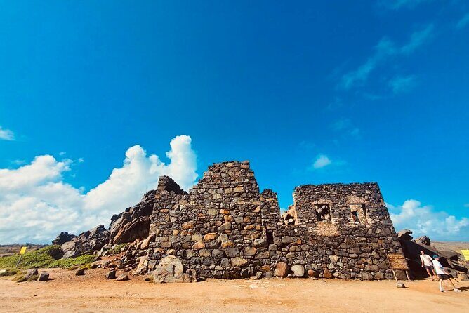 UTV and Jeep Island Adventure Mix Up - Why Choose the UTV and Jeep Island Adventure?