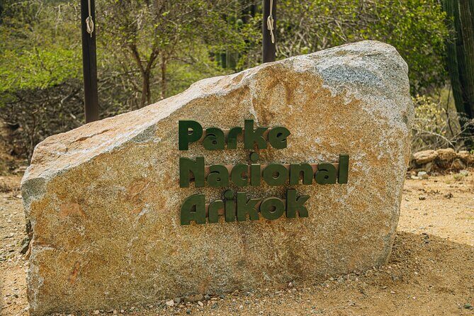 UTV and Jeep Island Adventure Mix Up - Final Thoughts: Who Is This Tour Perfect For?