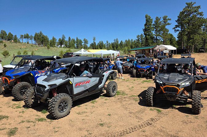 UTV/ATV 2 Hour Rentals near Woodland Park - What Travelers Say
