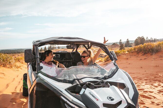 UTV Dune Cruise and Surf at Coral Pink Sand Dunes - What the Tour Includes and What to Expect