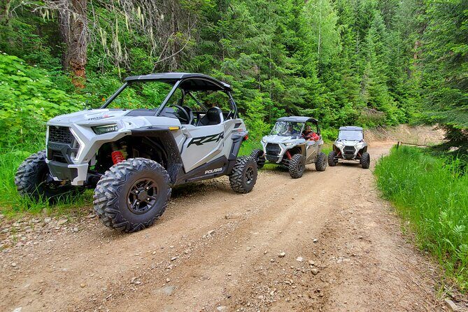 UTV Rental in North Idaho - Navigation Challenges and How to Overcome Them