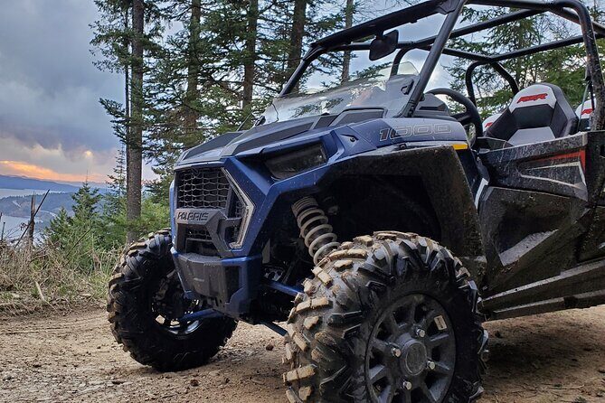 UTV Rental in North Idaho - Who Will Love This UTV Experience?