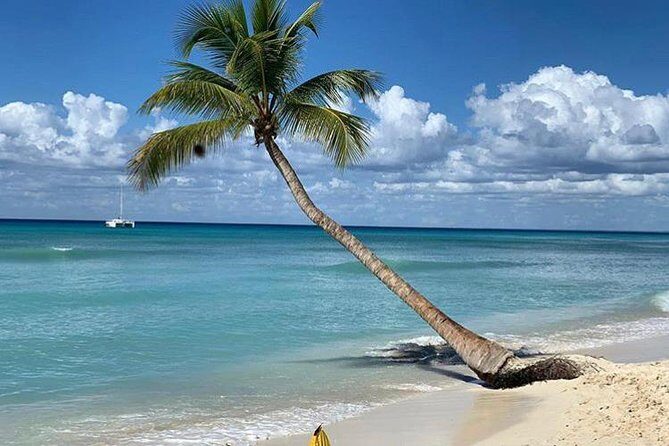 Uvero Alto Hotels - Private Round Trip from Punta Cana Airport - In-Depth Look at the Experience