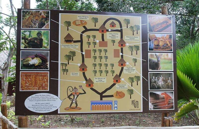 Uxmal and Choco Story Private Tour - The Culinary Experience: Lunch and Refreshments