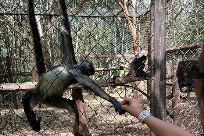 Uxmal Cultural and Gastronomic Tour and Cocoa Museum - FAQ