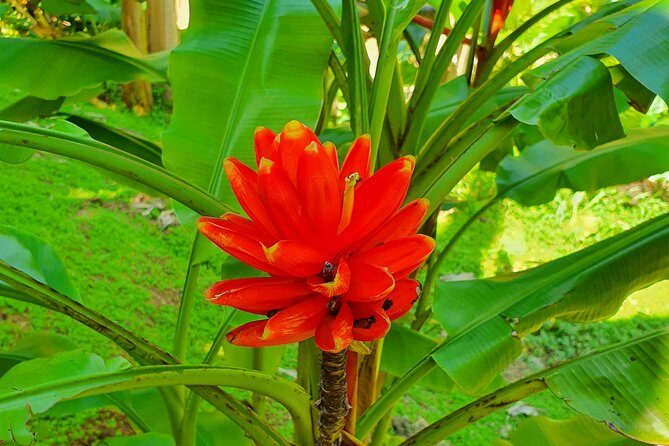 V.I.P Green escape 1- Botanical Garden - Exploring the Itinerary in Detail