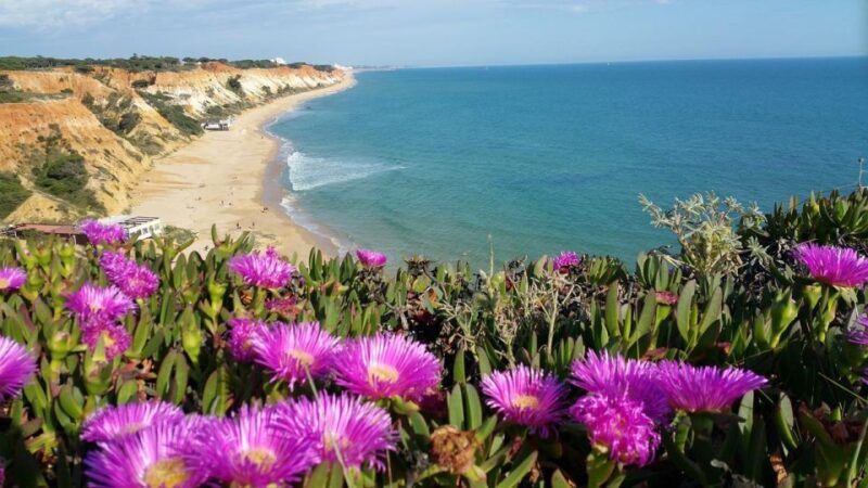 V.I.P private & exclusive road trip. The authentic Algarve. - Practical Details & Considerations