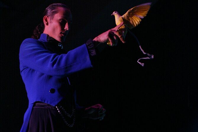 V - The Ultimate Variety Show at Planet Hollywood Resort and Casino - Who Will Enjoy This Show?