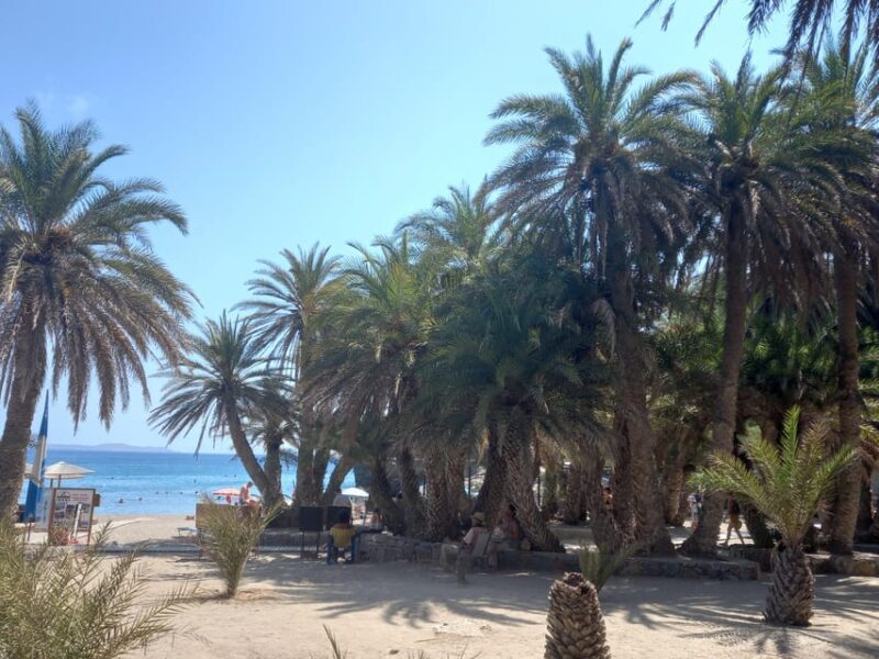 Vai Palm Beach Full Day Private Tour - What’s Not Included