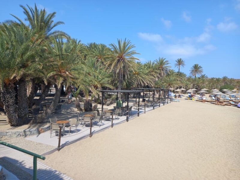 Vai Palm Beach Full Day Private Tour - Authentic Traveler Perspectives