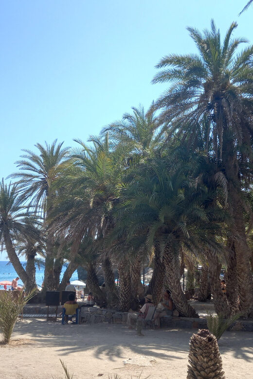 Vai Palm Beach Full Day Private Tour - Who Should Consider This Tour?