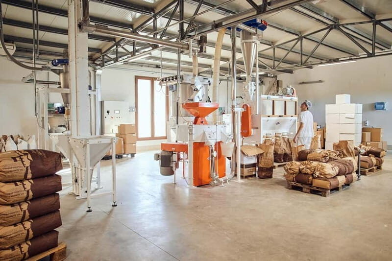 Val d'Orcia: Mill and Pasta Factory Tour with Tasting Lunch - Discovering the Charm of Val dOrcias Food Traditions