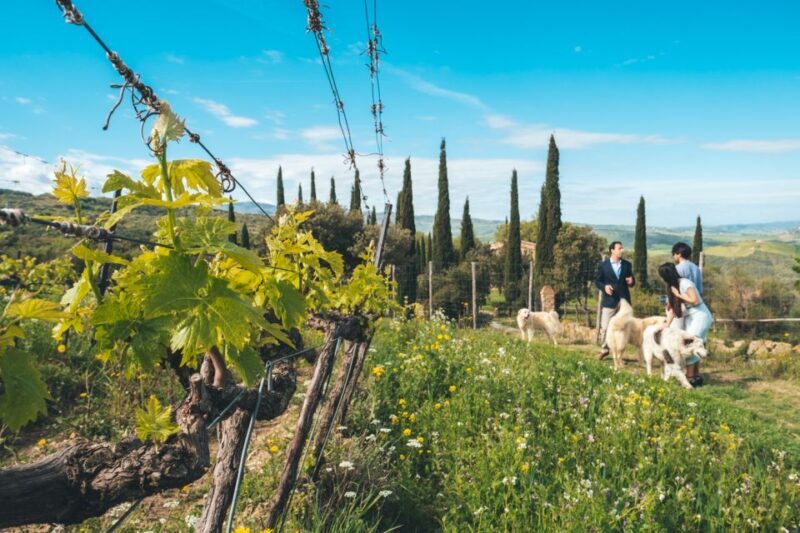 Val d'Orcia: Wine and Food Tasting at a Podere - Key Points