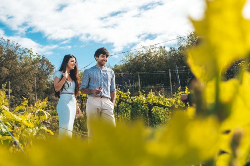 Val d'Orcia: Wine and Food Tasting at a Podere - An Introduction to Tuscan Wine and Food at a Scenic Podere