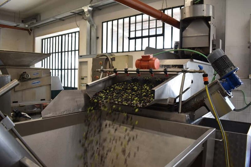 Val Prino: Oil Wine and Orti di Liguria - Val Prino: Oil, Wine, and Orti di Liguria — An Authentic Ligurian Tasting Experience