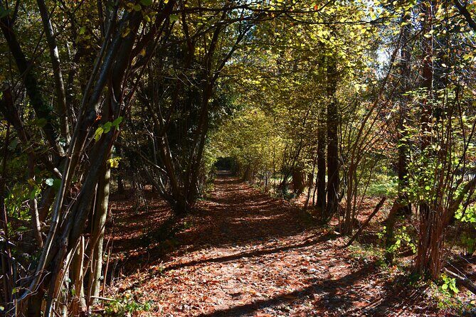 Val Senagra - The Enchanted Valley - Key Points