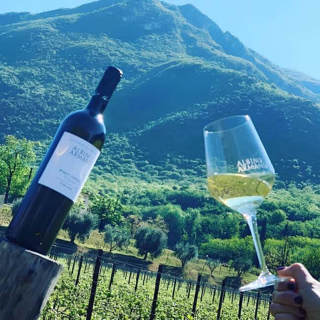 Valdadige: Winery Tour with 4 Wine Tastings - Key Points