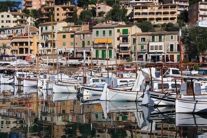 Valdemossa Half Day Tour - Who Will Enjoy This Tour Most?