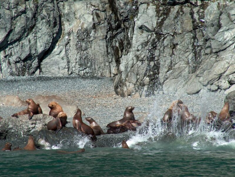 Valdez: 6-Hour Columbia Glacier Cruise - The Sum Up