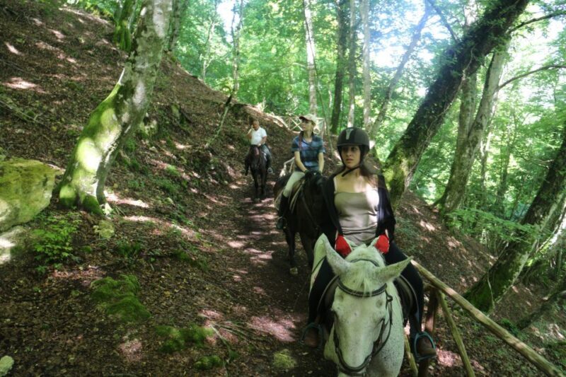 Valdichiana: Horseback Riding Tour with Tuscan Picnic - Key Points