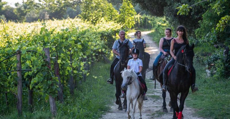Valdichiana: Horseback Riding Tour with Tuscan Picnic - Detailed Breakdown of the Itinerary