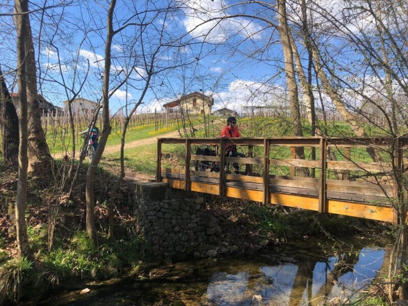Valdobbiadene: Bike rental and Prosecco tasting - Exploring the Itinerary in Detail