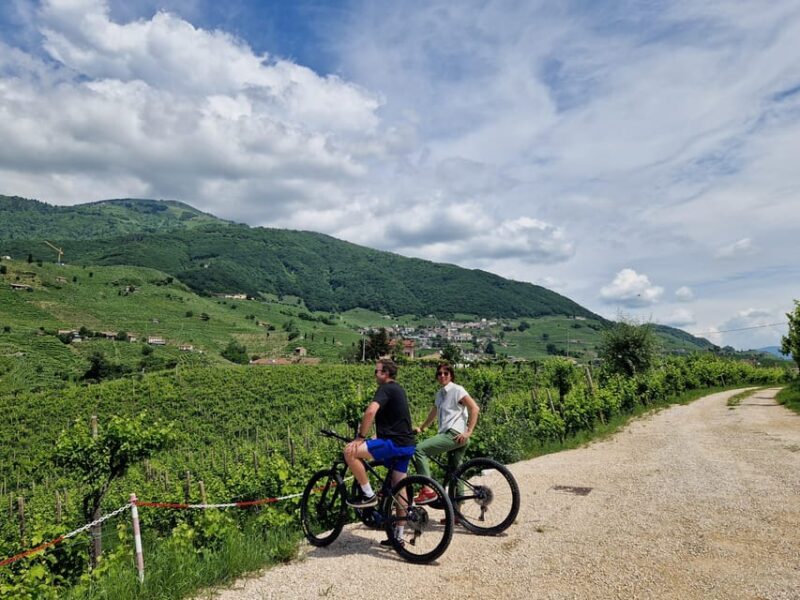 Valdobbiadene: Prosecco Express wine tasting and e-bike tour - The Itinerary in Detail: What Makes It Special