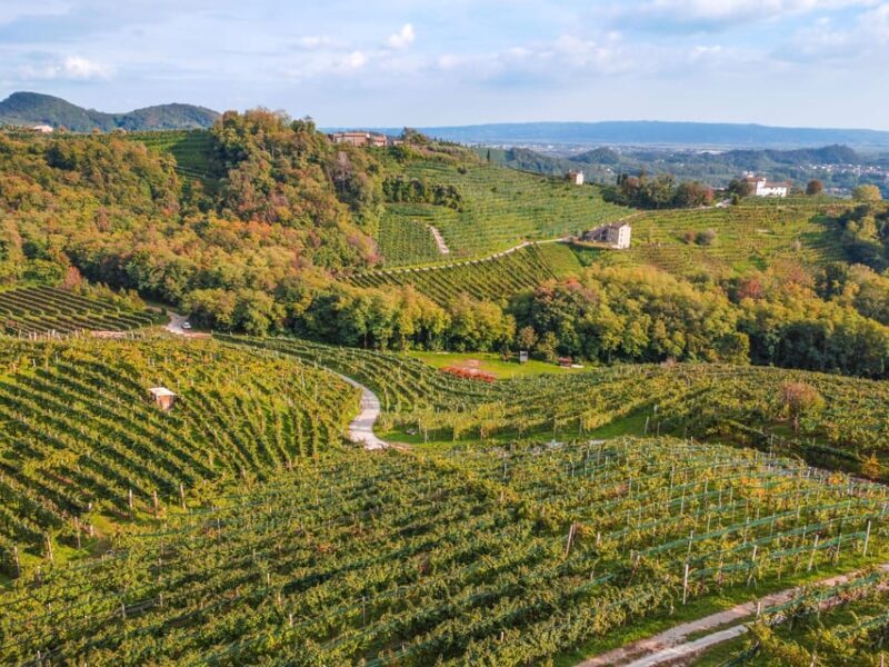 Valdobbiadene: Prosecco Express wine tasting and e-bike tour - Practical Aspects: What You Need to Know