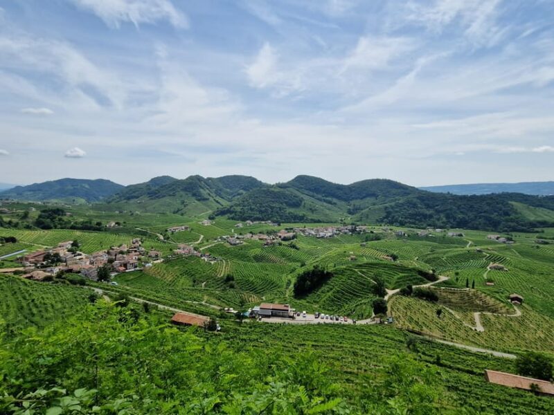Valdobbiadene: Prosecco Express wine tasting and e-bike tour - Authenticity and Value: What You Gain