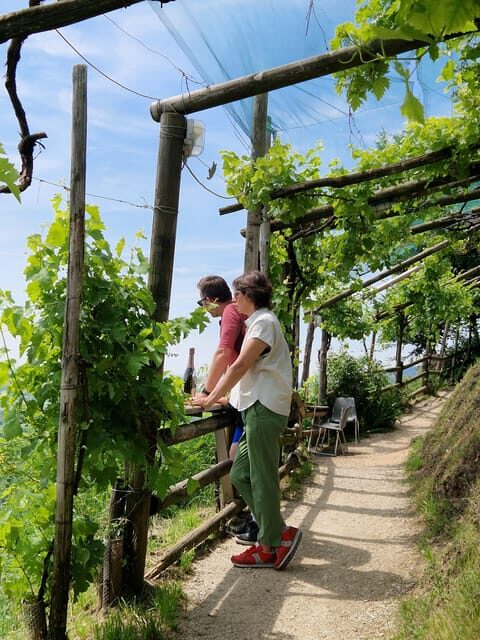 Valdobbiadene: Prosecco Express wine tasting and e-bike tour - FAQs