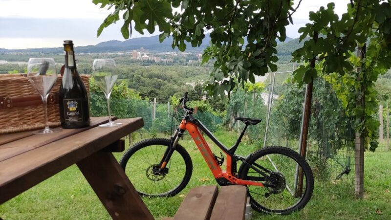 Valdobbiadene - Prosecco Hills Cycling with Sommelier - Key Points