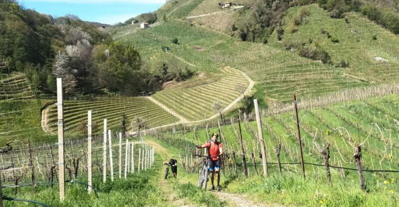 Valdobbiadene - Prosecco Hills Cycling with Sommelier - Scenic Cycling in the UNESCO Hills