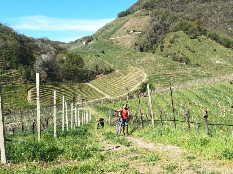 Valdobbiadene - Prosecco Hills Cycling with Sommelier - Winery Visits and Tasting Experience