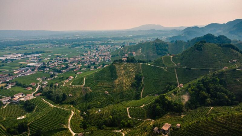 Valdobbiadene: Prosecco private tour & taste with Sommelier - Exploring the Veneto Hills: A Visual and Flavorful Journey