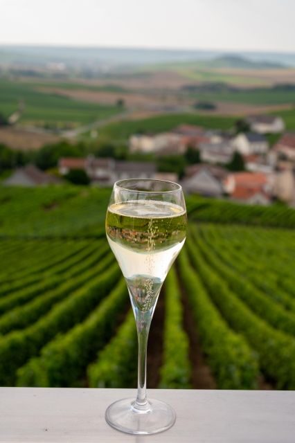 Valdobbiadene: Prosecco private tour & taste with Sommelier - Tastings & Local Food: More Than Just Bubbles