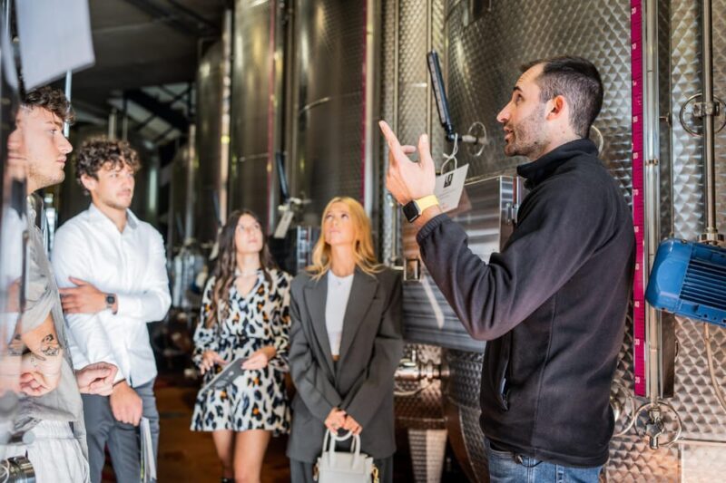 Valdobbiadene: Prosecco Tasting Experience - The Educational Element and Wine Selection