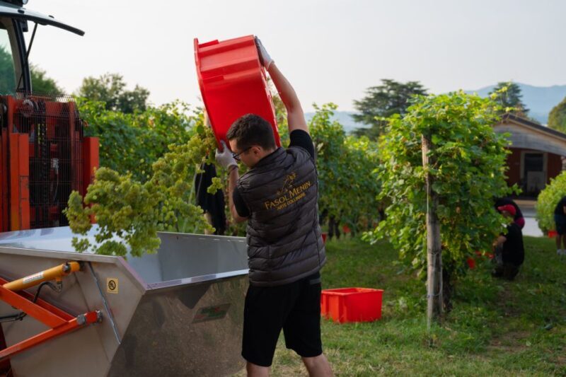 Valdobbiadene: Prosecco Tasting Experience - Practical Details and Tips