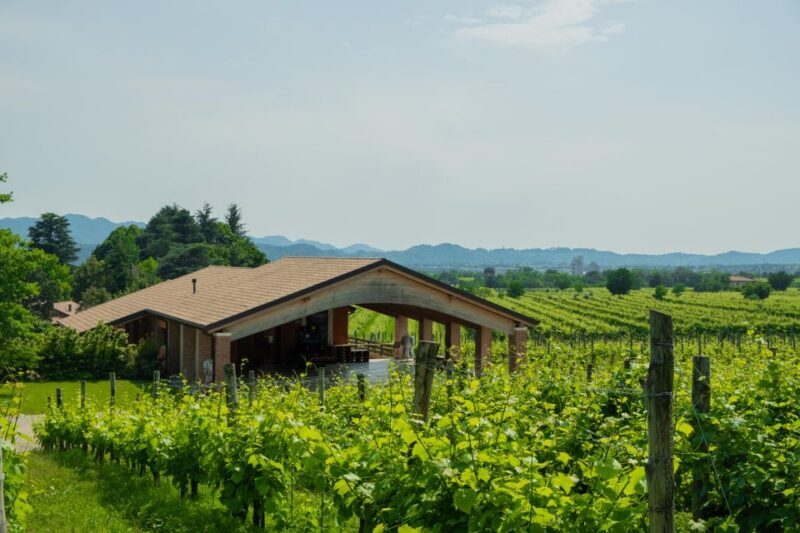 Valdobbiadene: Prosecco Tasting Experience - Authenticity and Customer Experiences
