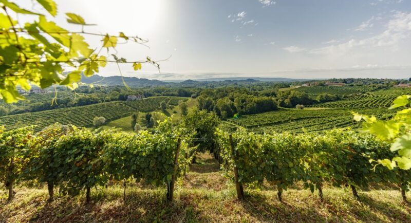 Valdobbiadene: Prosecco Tasting Experience - The Sum Up: Who Should Consider This Tour?