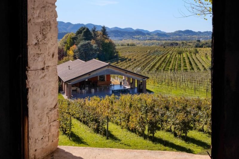 Valdobbiadene: Prosecco tasting where Art meets Wine - Key Points