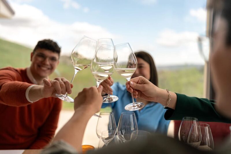 Valdobbiadene: Prosecco tasting with winery & vineyard tour - The Experience Itself: Walks, Cellars, and Tastings