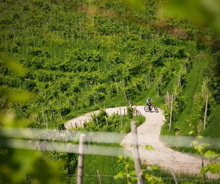 Valdobbiadene: self-guided e-bike tour in the Prosecco Hills - The Itinerary Breakdown