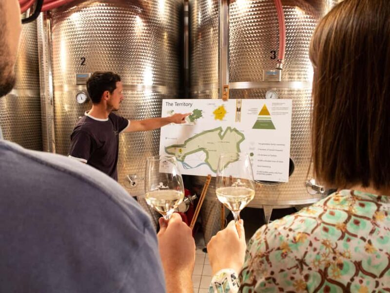 Valdobbiadene - Visit to the winery and tasting of DOCG Superiore wines - Overview and Context