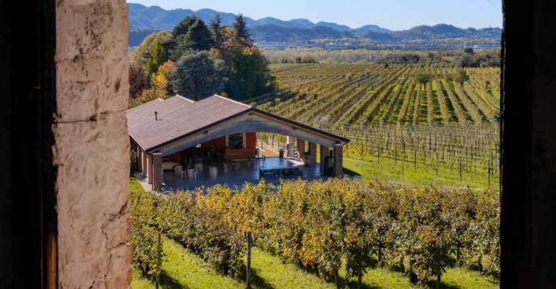 Valdobbiadene: Winery Tour with Wine and Food Tasting - Authenticity and the Guides’ Role