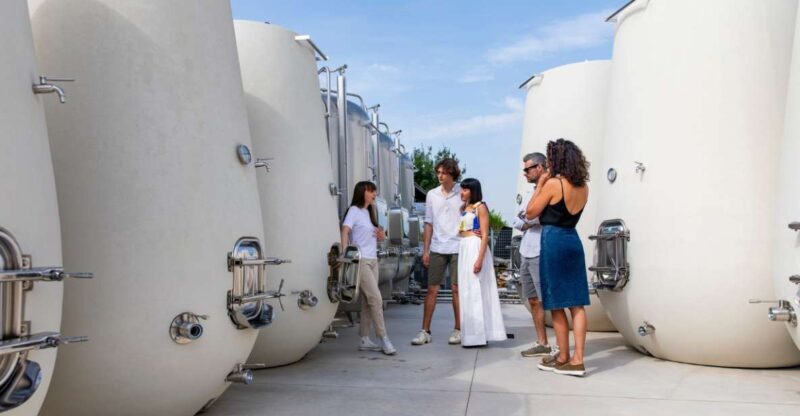 Valdobbiadene:Prosecco tasting,appetizers,winery & vineyard - Key Points
