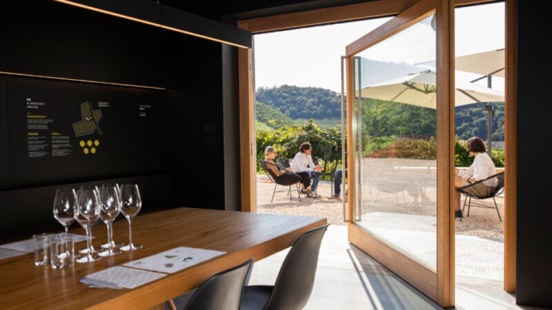 Valdobbiadene:Prosecco tasting,appetizers,winery & vineyard - Who Will Enjoy This Experience Most?