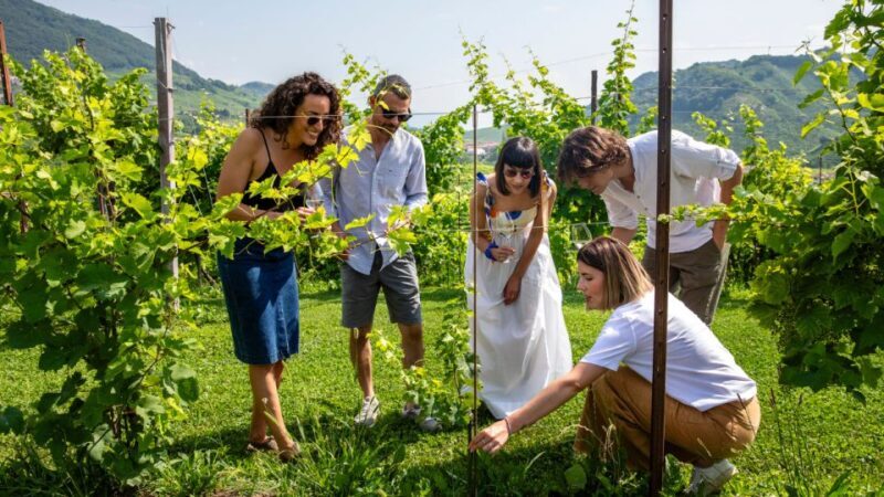 Valdobbiadene:Prosecco tasting,appetizers,winery & vineyard - Practical Considerations