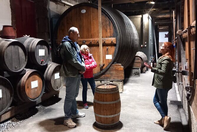 VALE DOURO: Luxury Private Wine Tour, Winery Tour and Cruise - FAQs