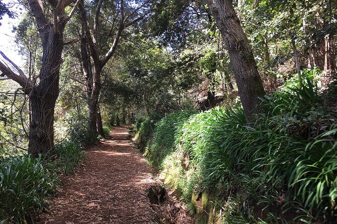 Vale Paraiso - Paradise Valley Walk - A Closer Look at the Vale Paraiso - Paradise Valley Walk