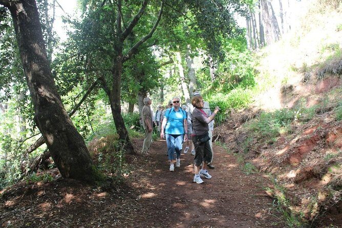 Vale Paraíso - Rochão (Half Day Walk) - Key Points